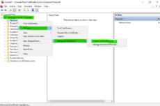 Generate CSR on Windows Server – iTomation
